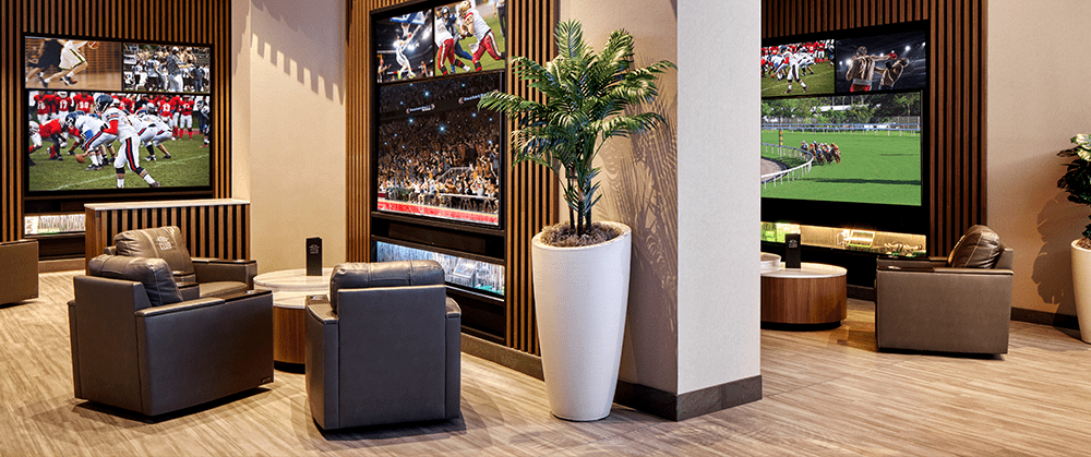 Sports Book Furniture - DreamSeat